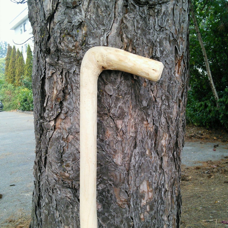 Halb fertig 35,25" Ahornrohr