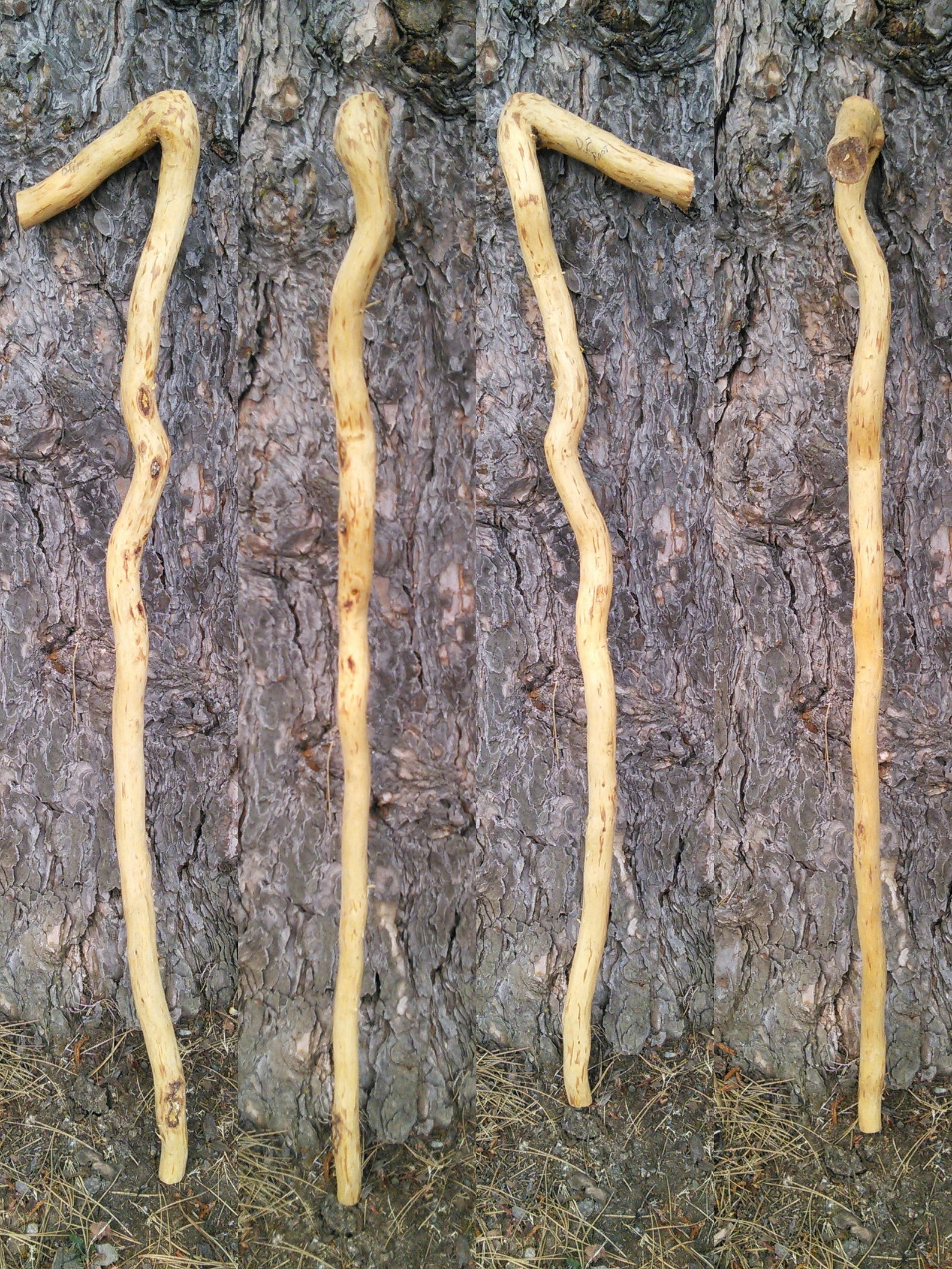 Unfinished Root Cane 36" - Etsy