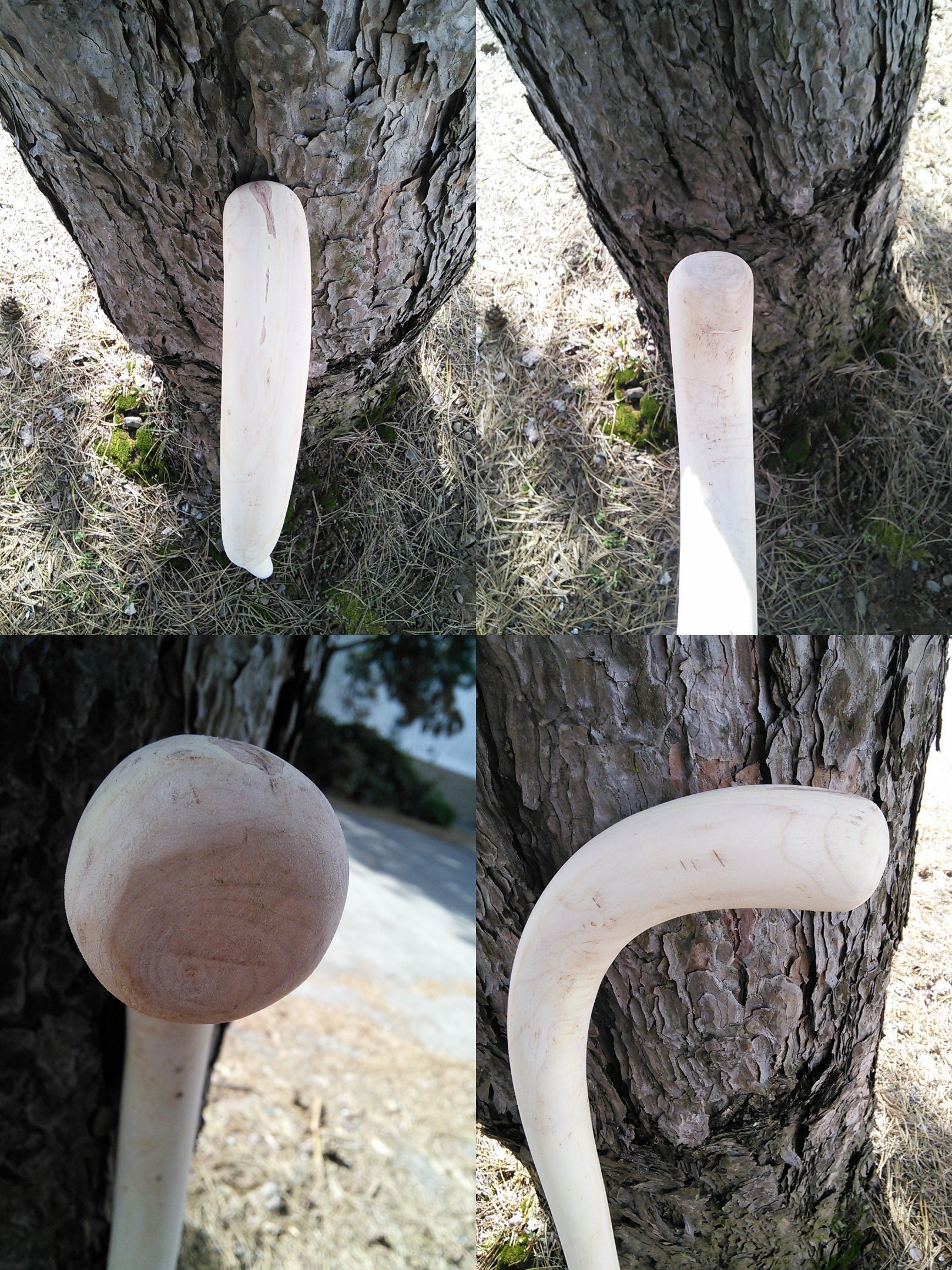 39semi-finished Maple Cane - Etsy Norway