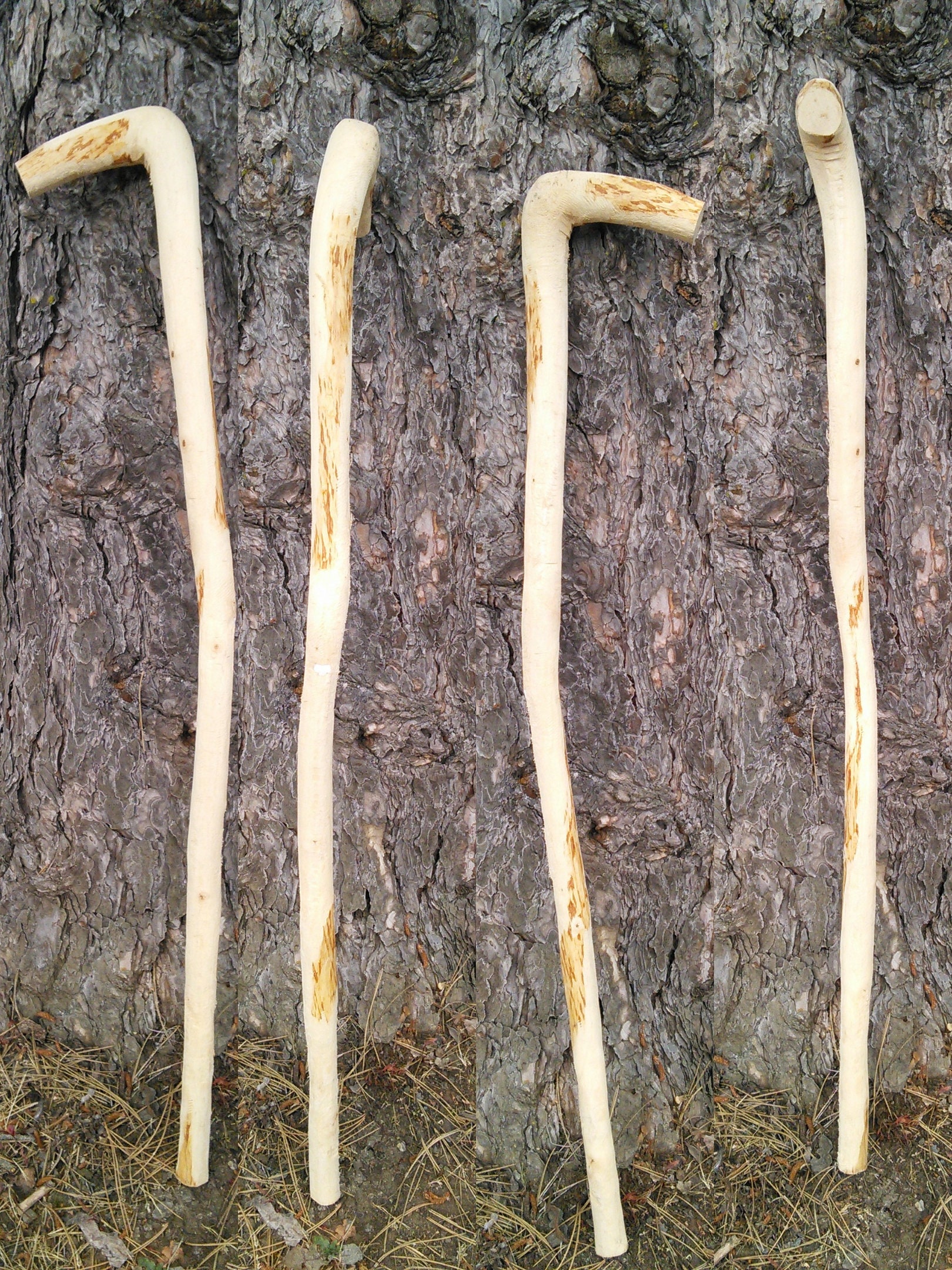 Cane Unfinished 37 Maple Cane | Etsy