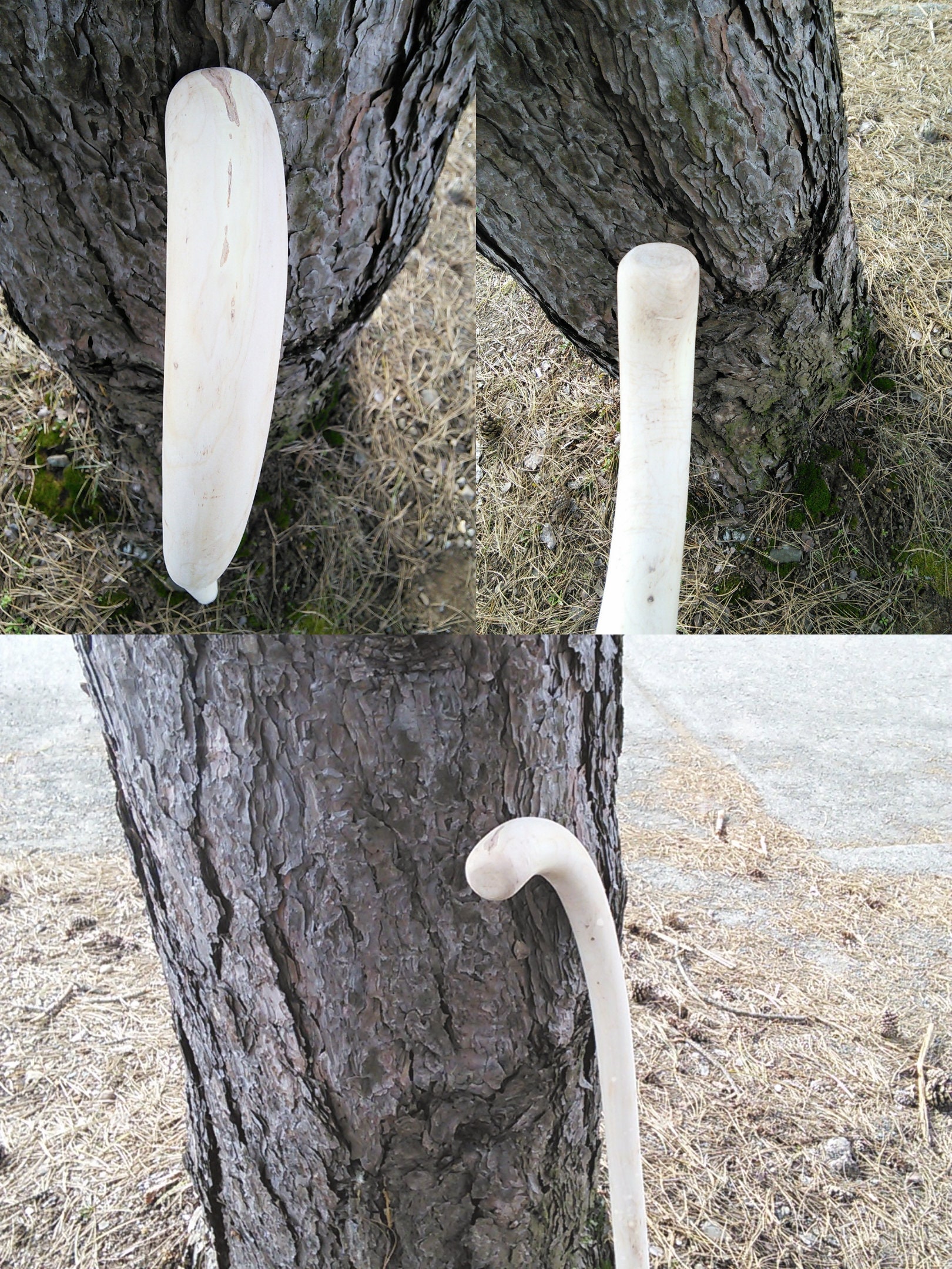 39semi-finished Maple Cane - Etsy Norway