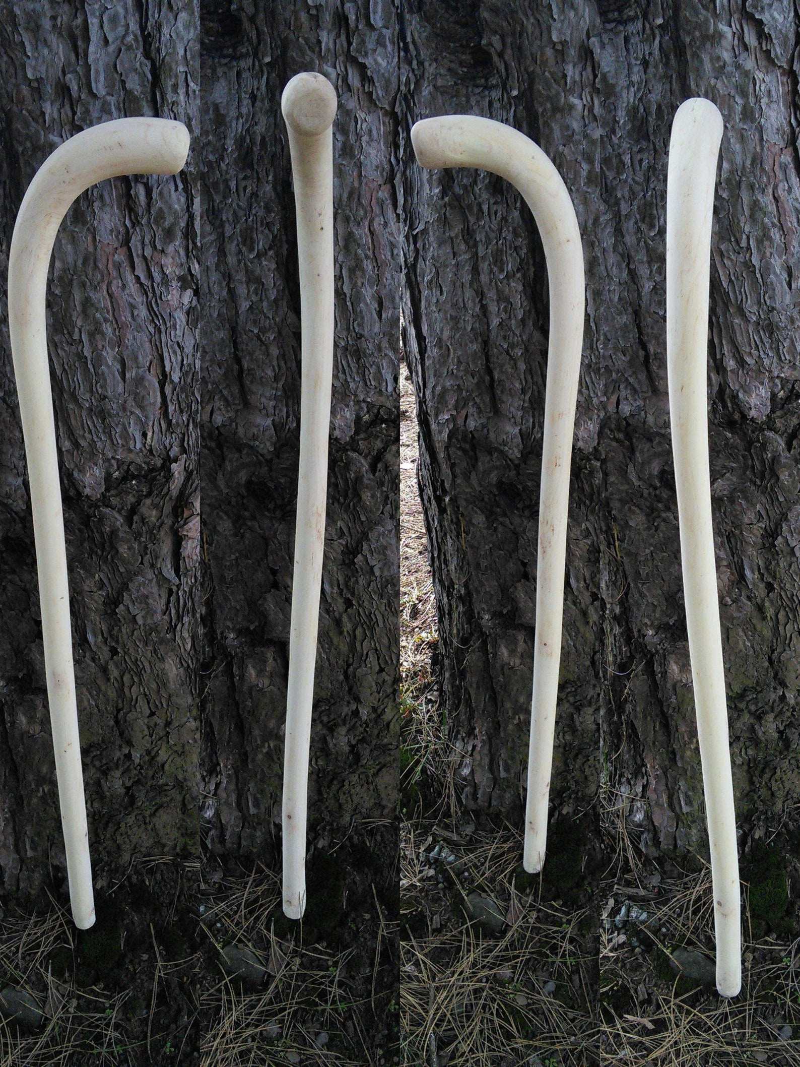 39semi-finished Maple Cane - Etsy Norway