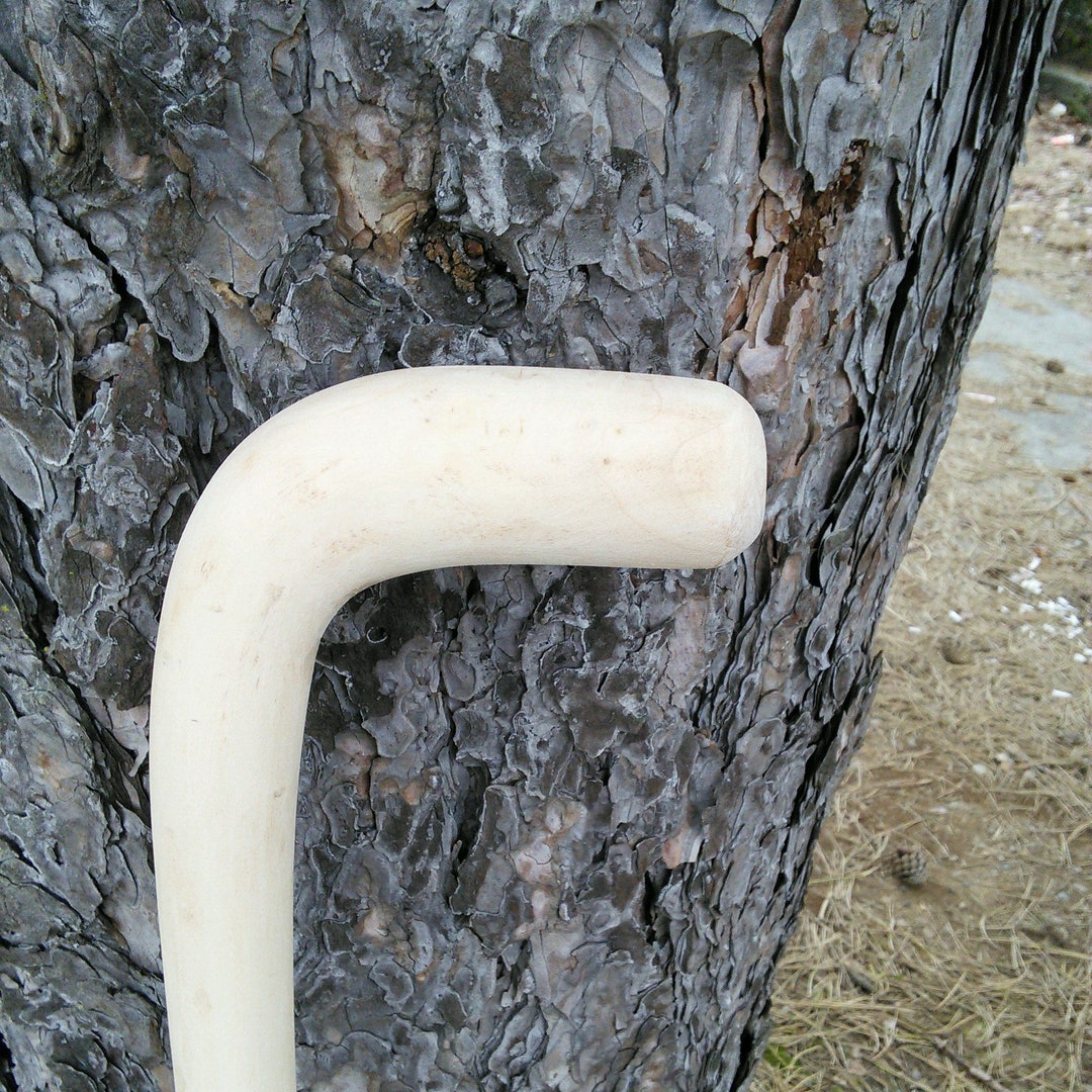 33.25semi-finished Maple Cane - Etsy