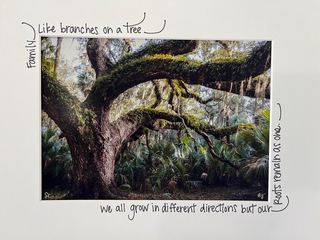 Hontoon Tree - Etsy