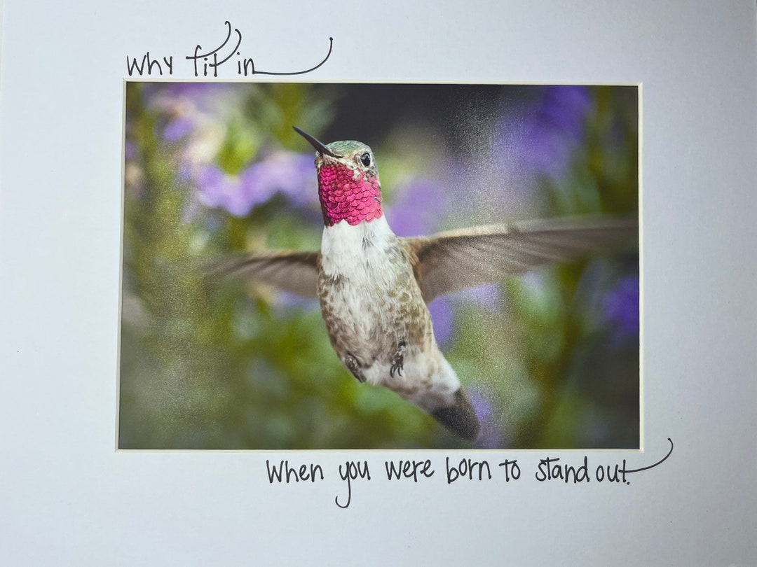 Pretty Boy Hummingbird - Etsy