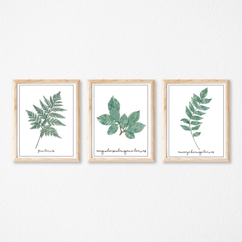Leaf Prints Set of 3, Watercolor Leaf Print Set, Botanical Leaf Wall ...