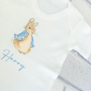 Peter Rabbit Baby Sleepsuit, Peter Rabbit Print Baby Clothes, Baby Boy ...