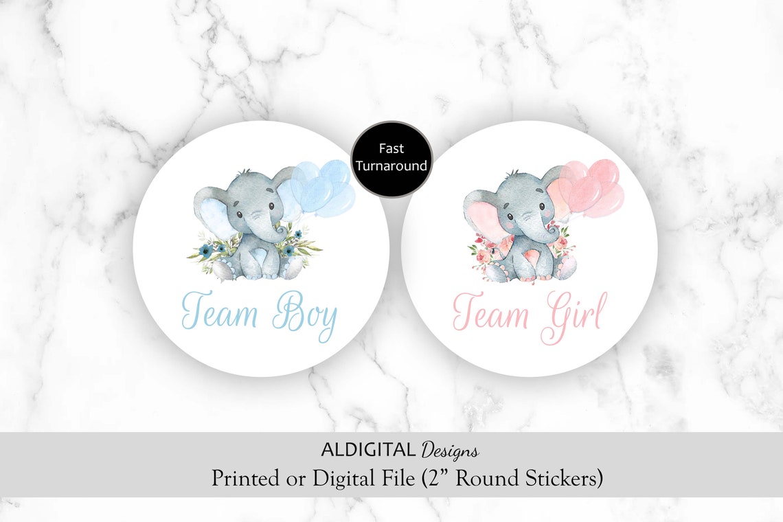 Gender Reveal Stickers Team Boy Team Girl Gender Reveal Baby - Etsy