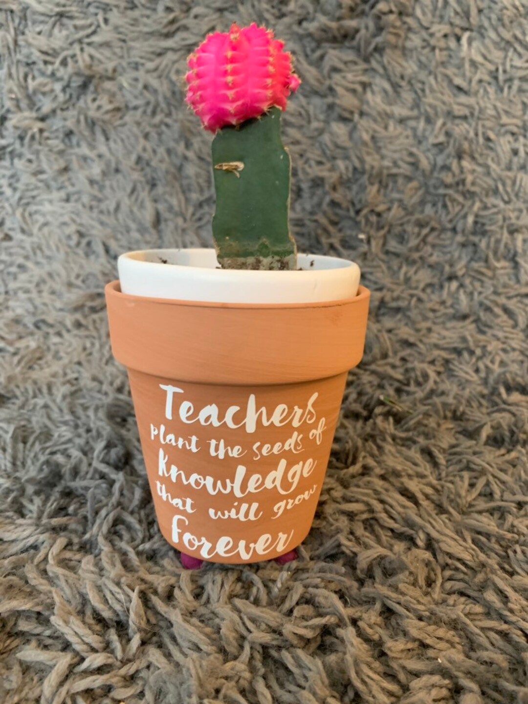 Teachers Plant the Seeds of Knowledge That Will Grow Forever ...