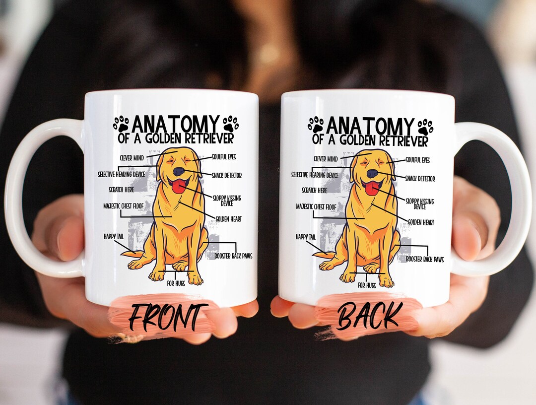 Golden Retriever Anatomy Mug, Golden Retriever Mug for Men and Women ...