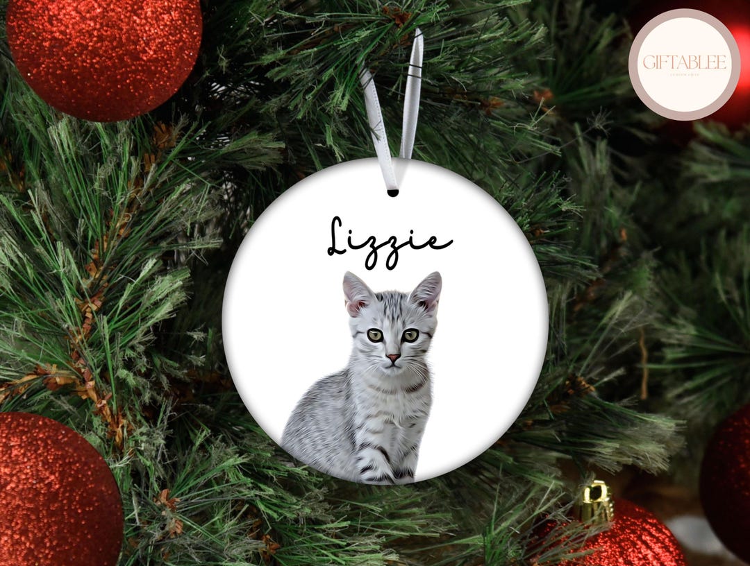 Custom Cat Cartoon Ornament, Personalized Cat Gift Ceramic Ornament for ...