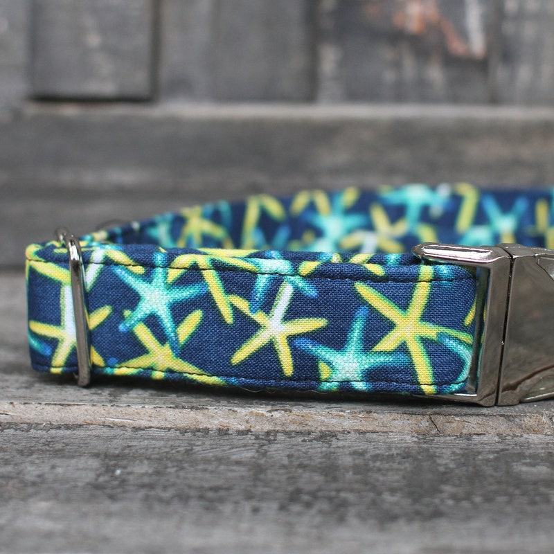 Starfish Dog Collar - Etsy
