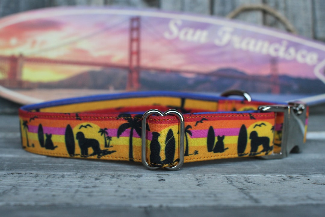 Beach Dog Collar | Summer Dog Collar | Male Dog Collar | Female Dog ...