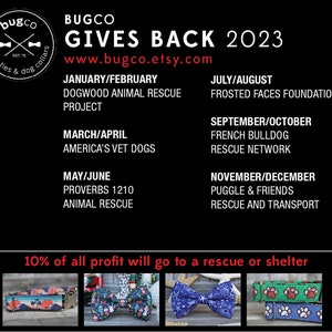 Chinese Takeout Bow Tie | Bow Tie for Men | for Him | Bowtie | Dog Bow ...