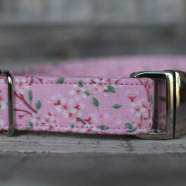 Female Dog Collar - Etsy