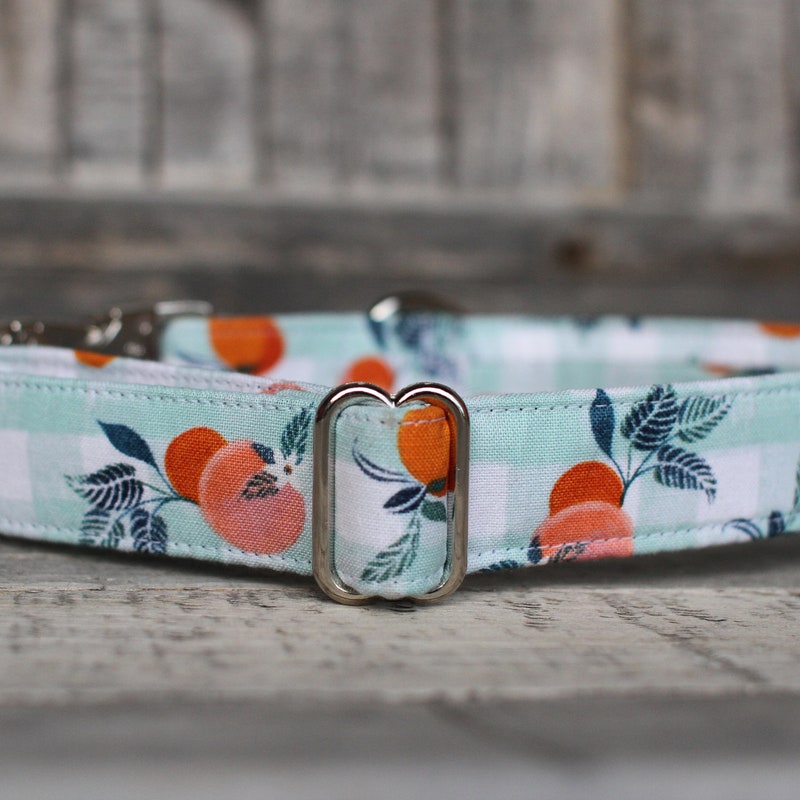 Small Dog Collar - Etsy