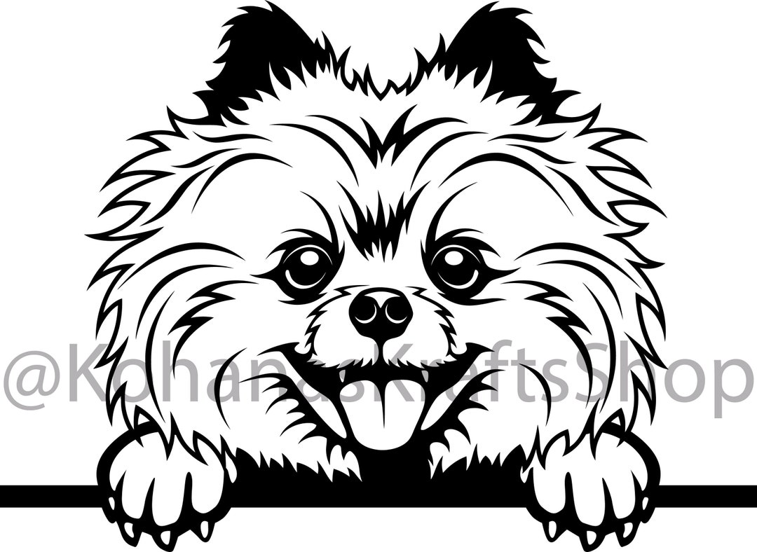 Pomeranian Vinyl Decal Die Cut Dog Decal Car Window Decal Laptop Decal ...