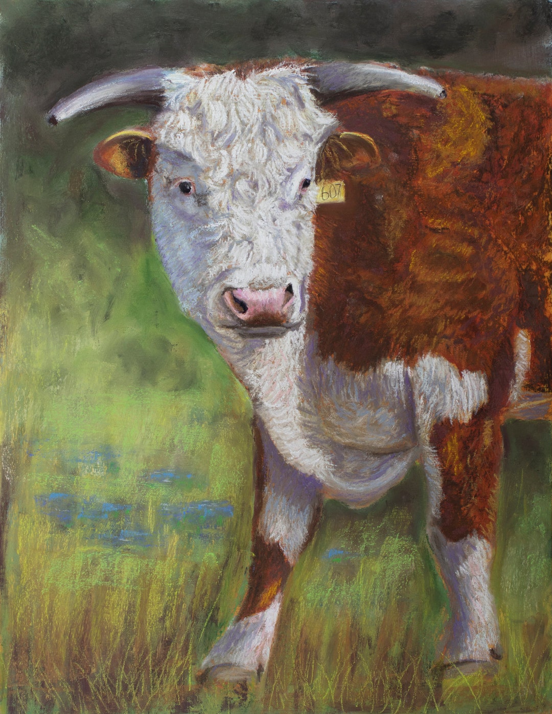 Original Painting - "curly" - Hereford Bull Soft Pastel Painting - Etsy