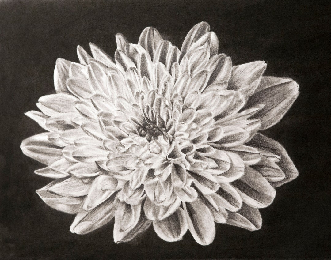 Original Flower Drawing Wall Decor Art Dahlia Drawing Floral Themed ...