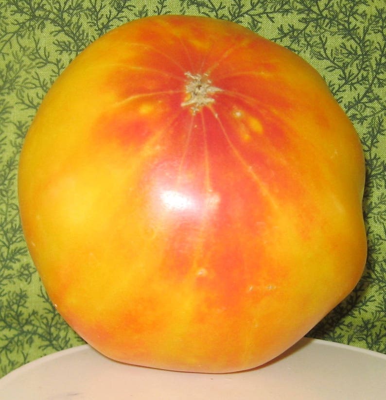 Virginia Sweets Heirloom Giant Tomato Seeds - Etsy