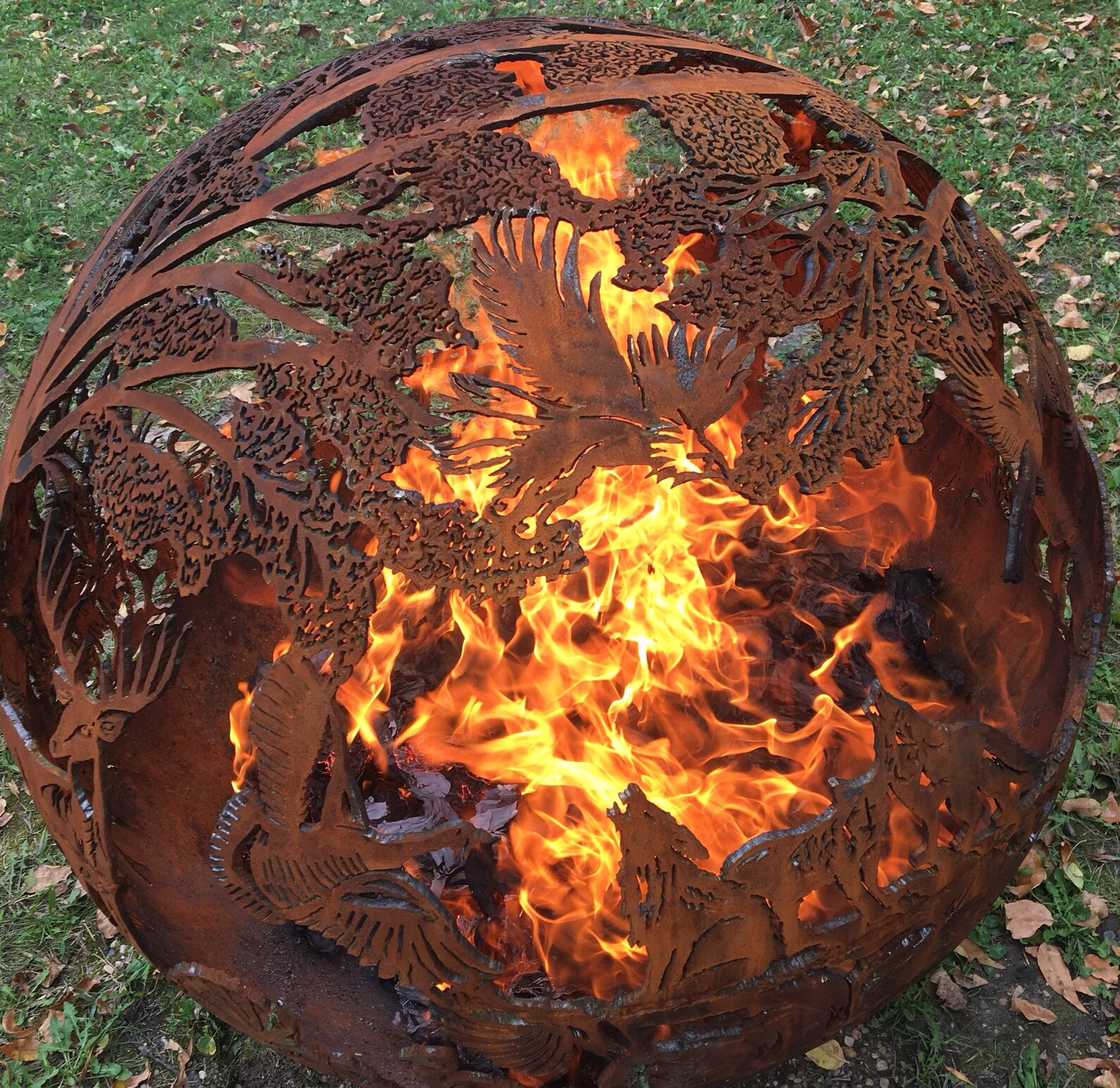 WILD FIREBALL Beau's Woods Fire Pit Fireball Firepits Individually ...