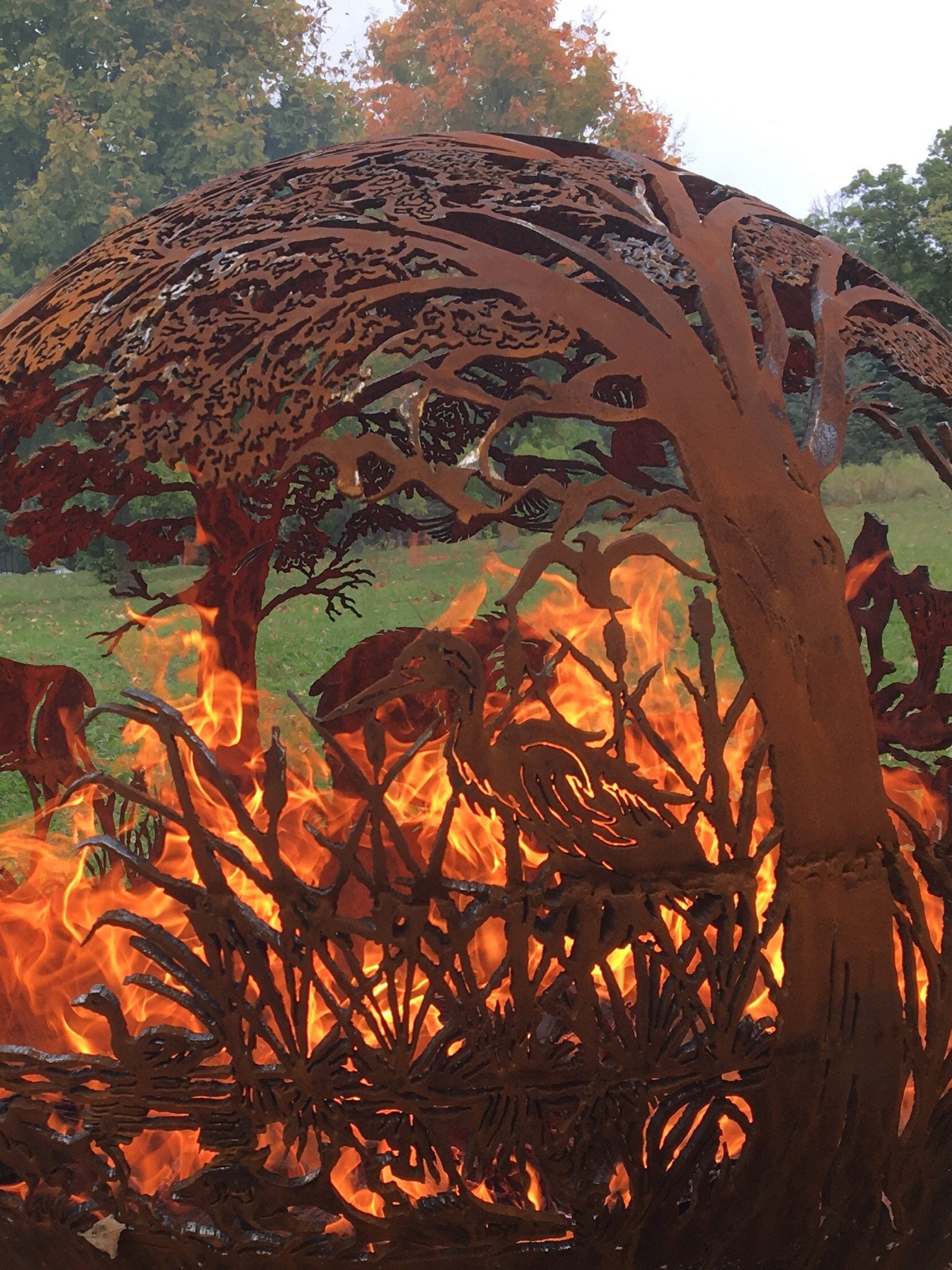 WILD FIREBALL Beau's Woods Fire Pit Fireball Firepits | Etsy