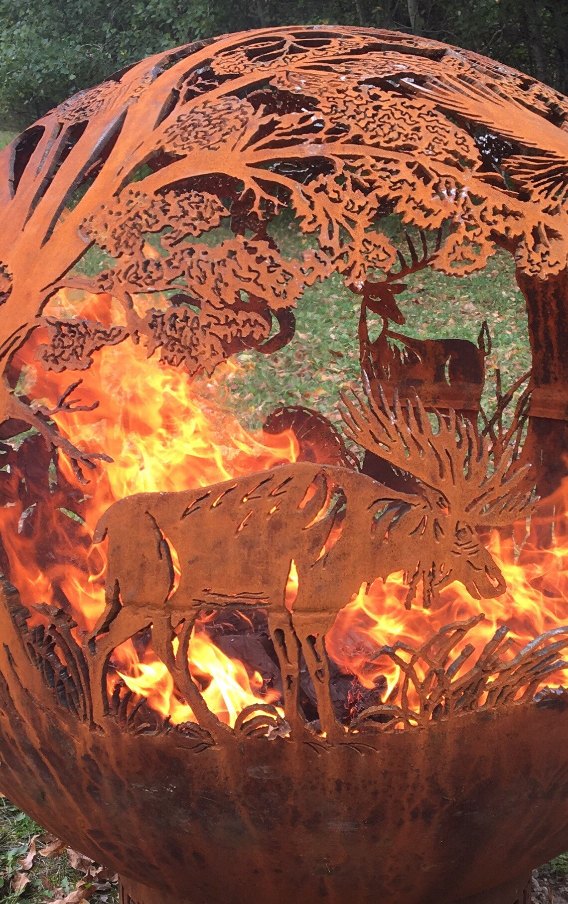 WILD FIREBALL Beau's Woods Fire Pit Fireball Firepits Individually ...