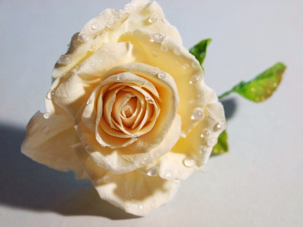 Ivory Bridal Hair Pin Flower Accessories Wedding Headpiece - Etsy