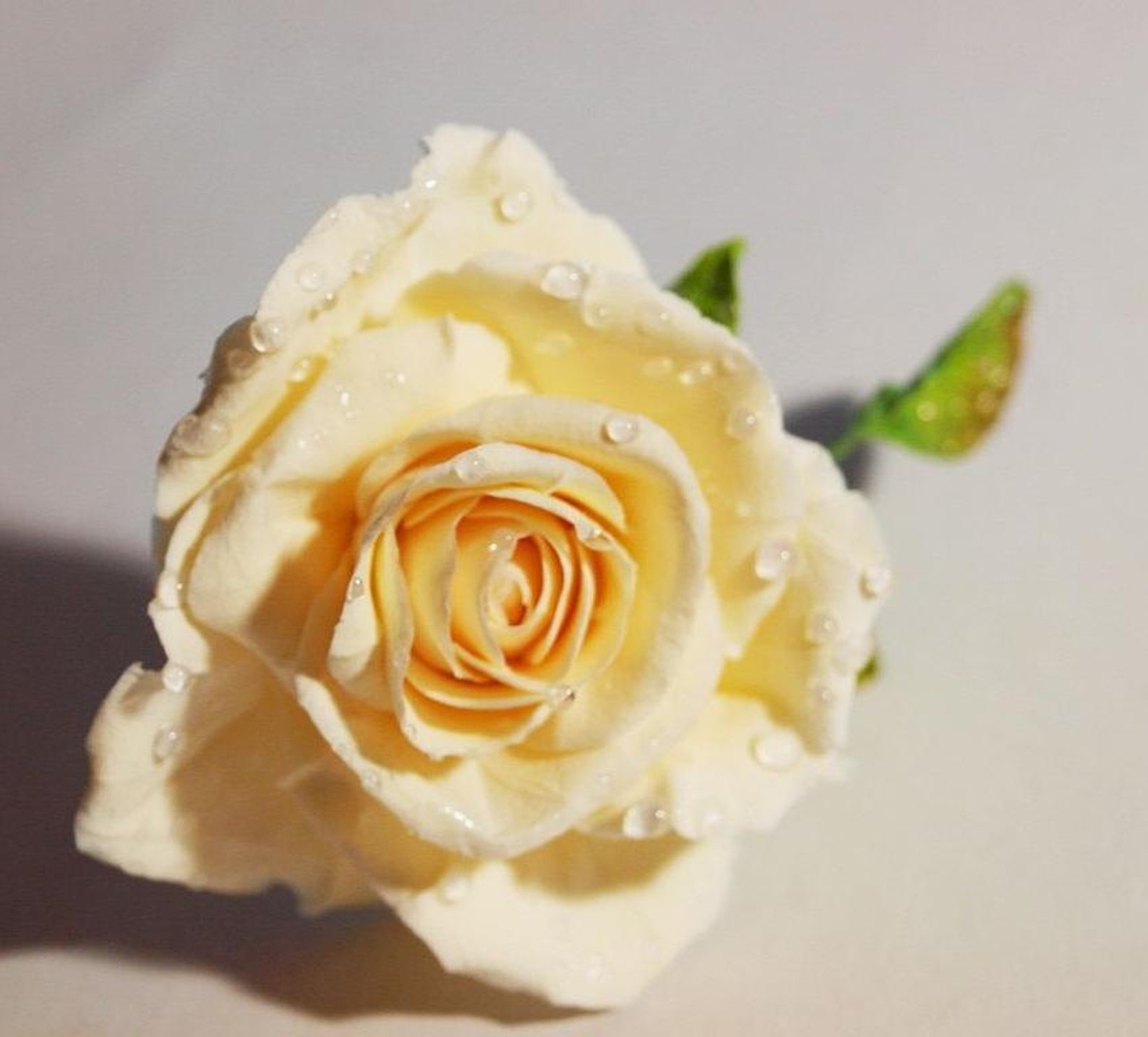 Ivory Bridal Hair Pin Flower Accessories Wedding Headpiece - Etsy