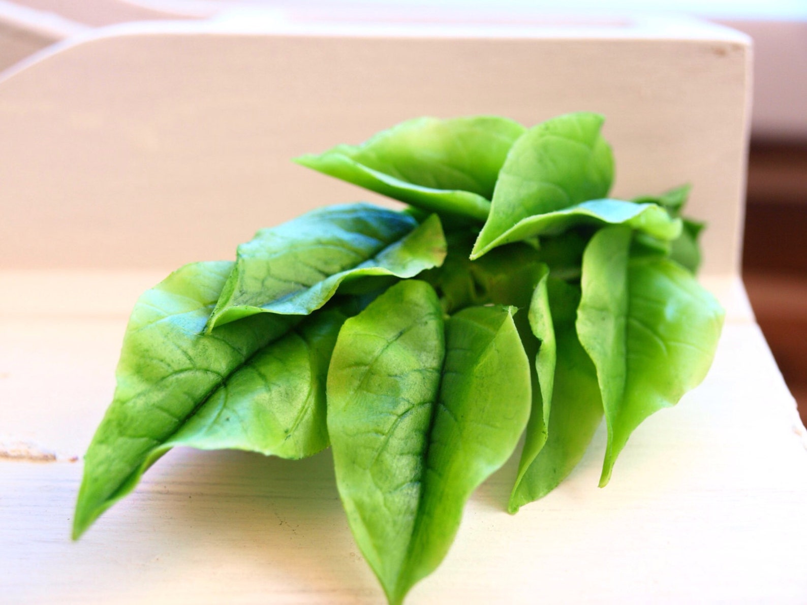 Green Foliage Barrette Leaf Barrettes for Hair Accessories - Etsy