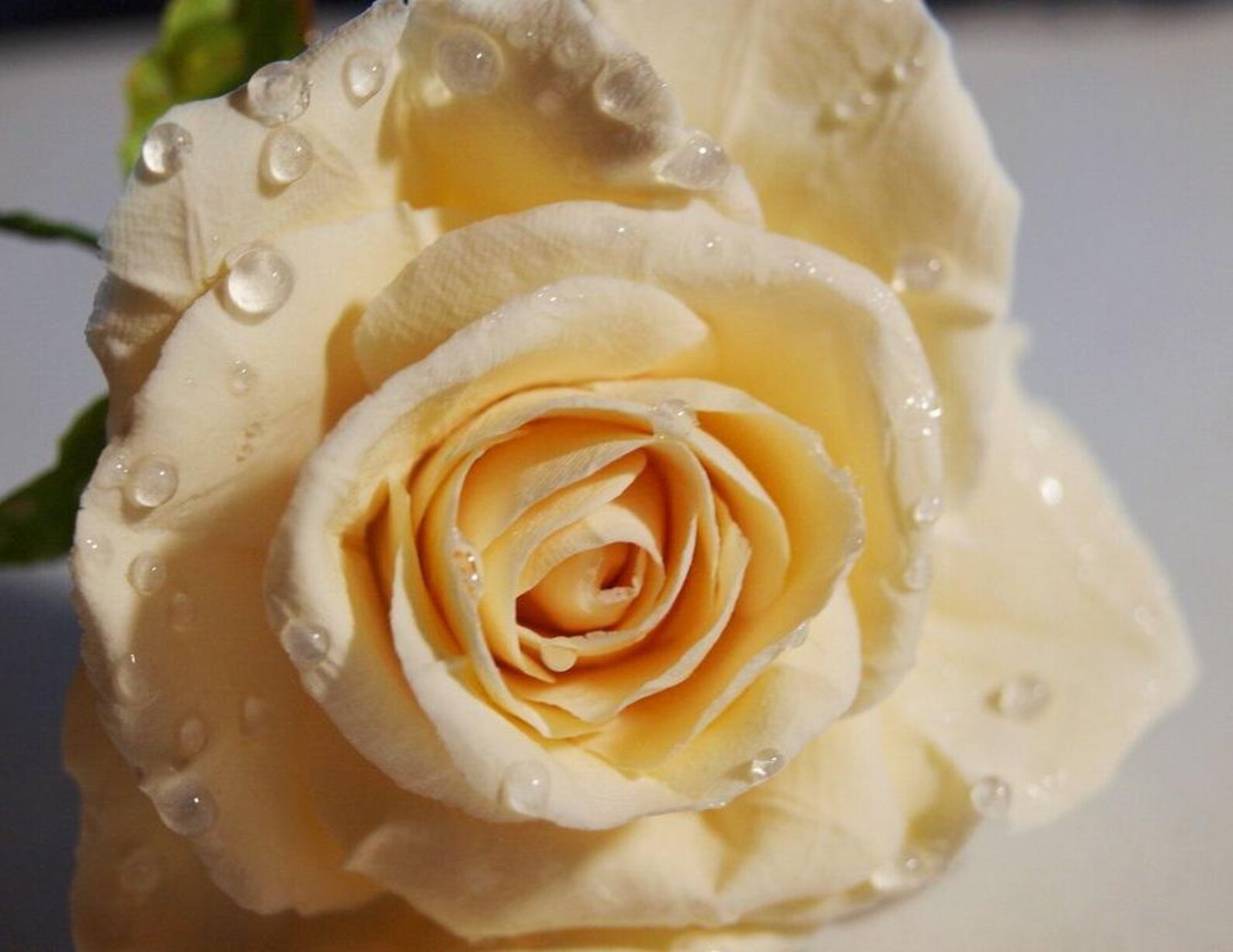 Ivory Bridal Hair Pin Flower Accessories Wedding Headpiece - Etsy