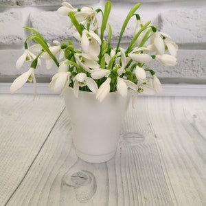 Artificial Snowdrop Floral Arrangement Spring Decorations for Home ...