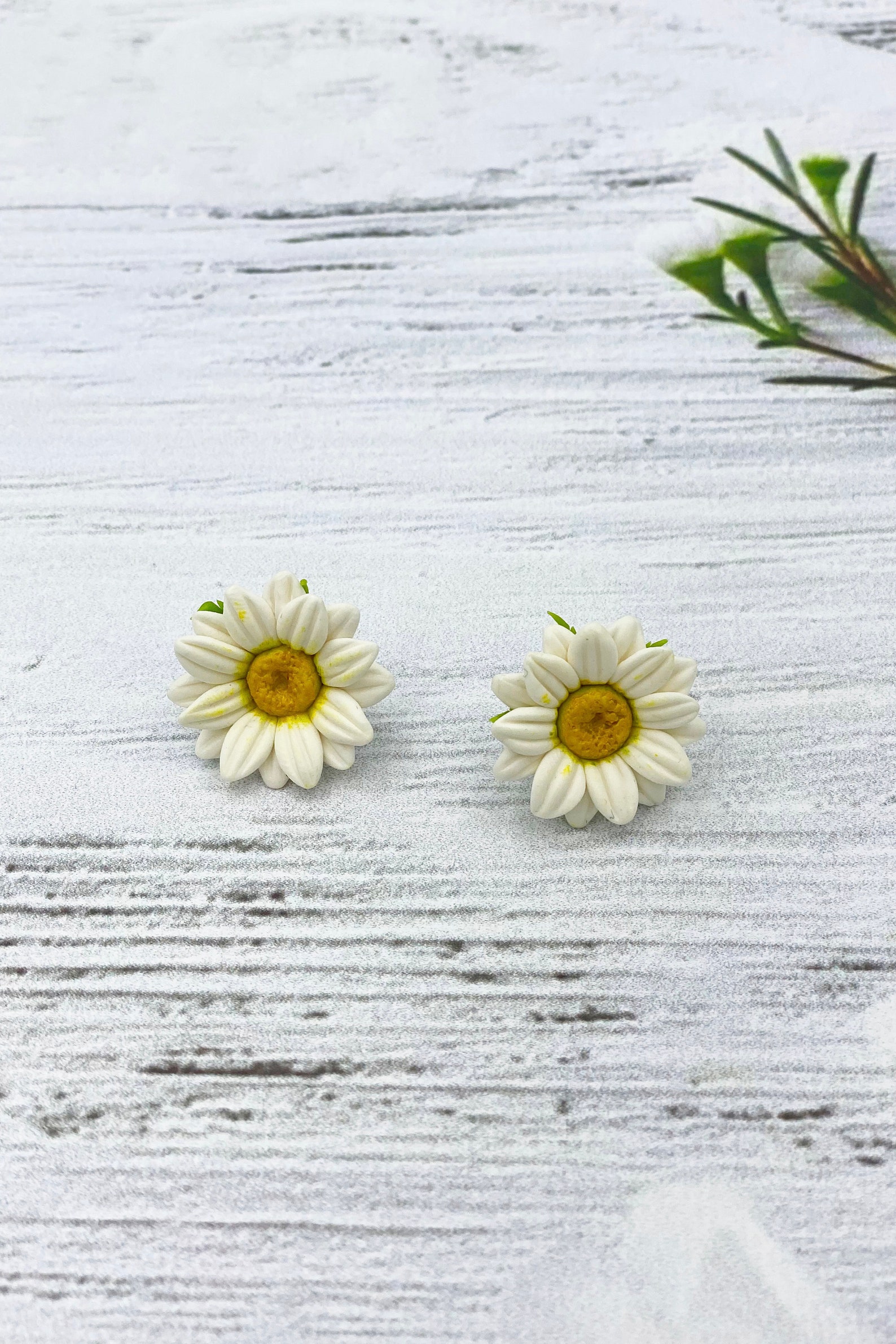 White Daisy Flower Earrings Botanical Jewelry Daisy Earrings - Etsy