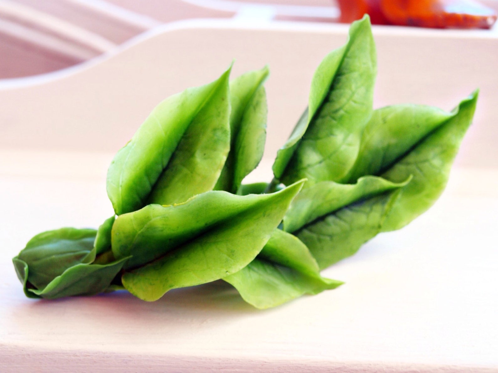 Green Foliage Barrette Leaf Barrettes for Hair Accessories - Etsy