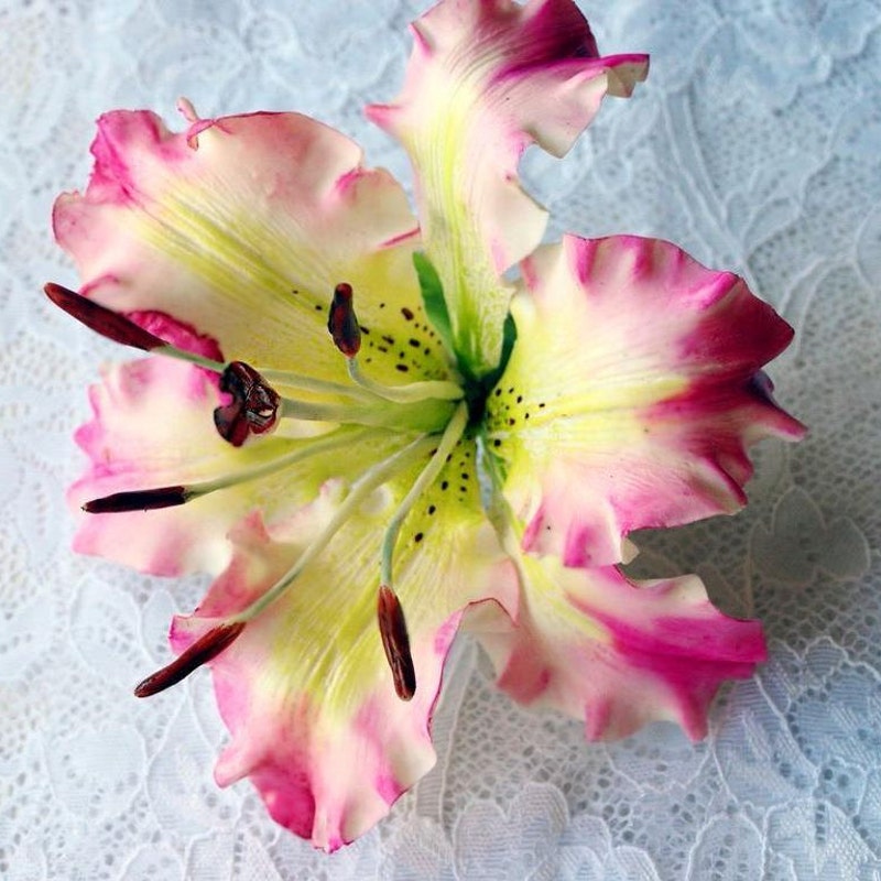 Lily Hair Clip - Etsy