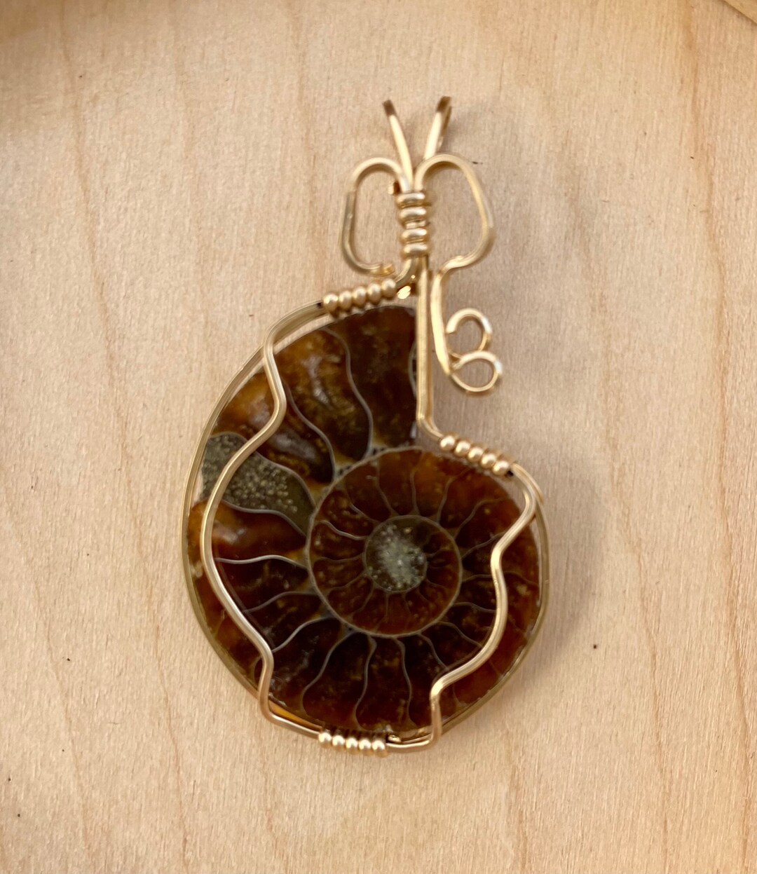 Ammonite Fossil in Warm Shades of Chocolate Brown, Wrapped in Gold ...