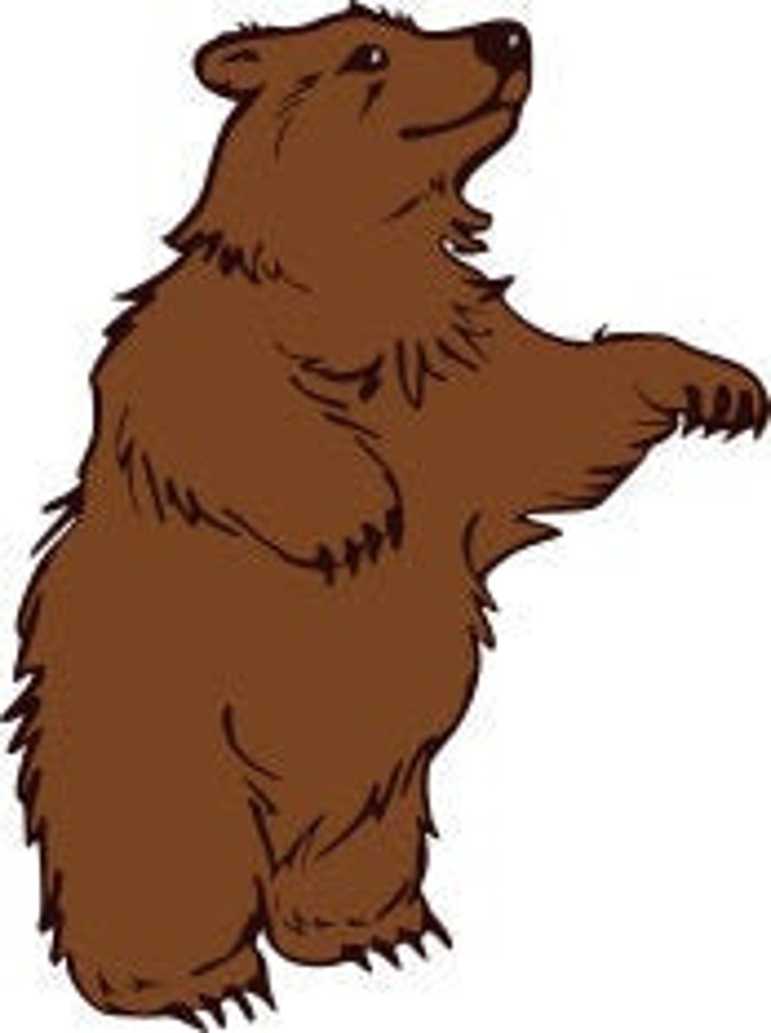 Bear SVG Cut File - Etsy