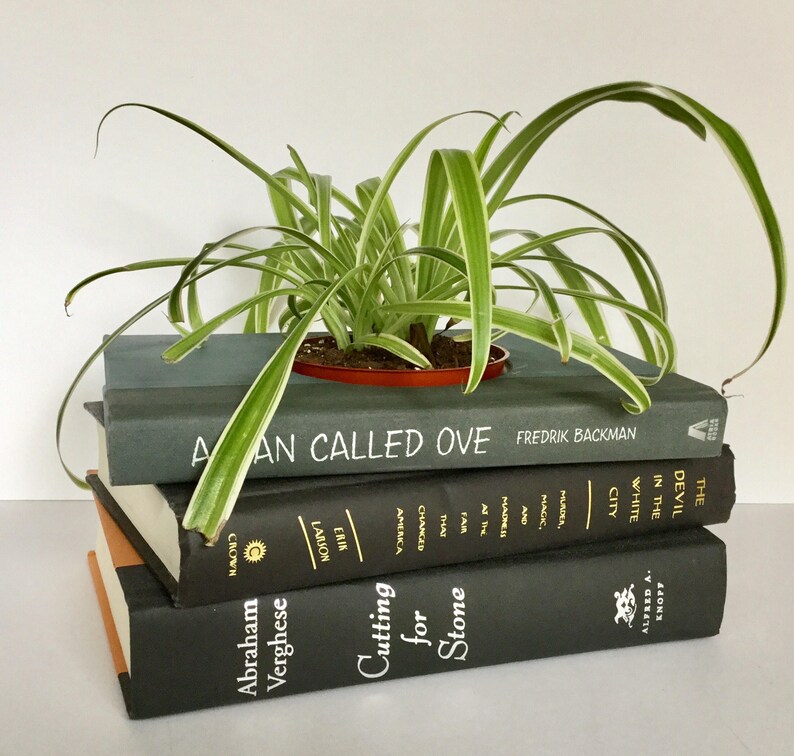 Book Planter Custom Made for You With Your Favorite Books. - Etsy