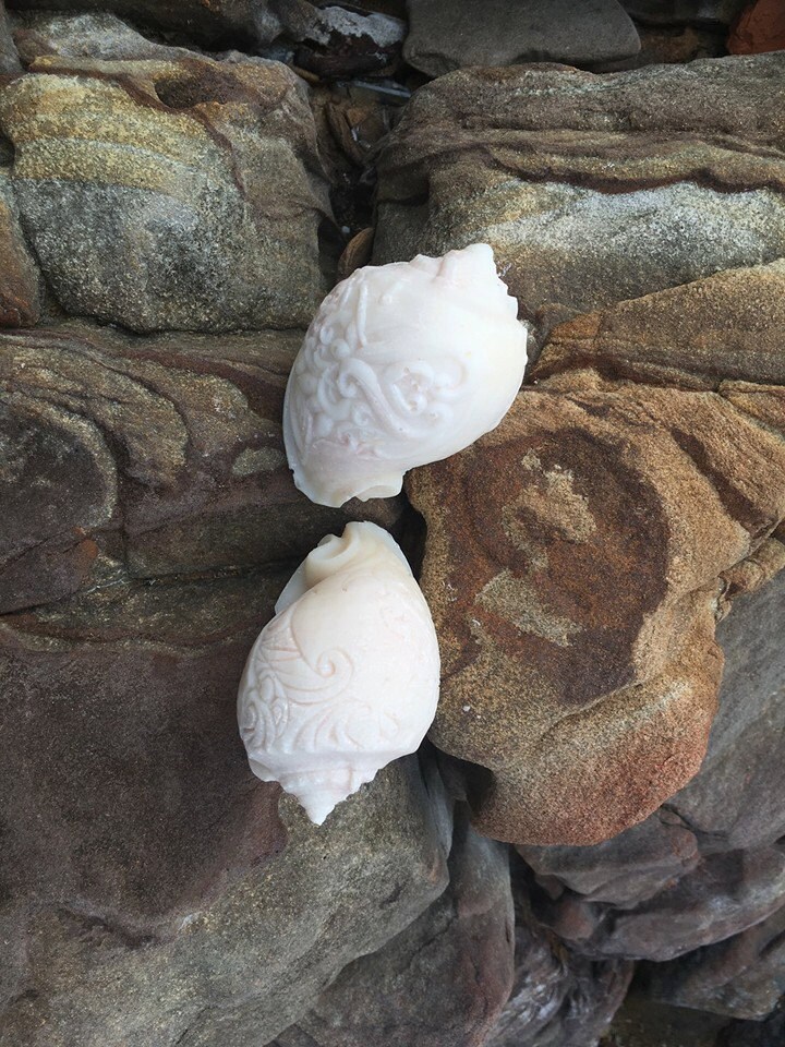 Sea Shells 6 Bars Tray raised Style - Etsy