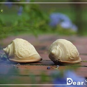 Sea Shells 6 Bars Tray raised Style - Etsy