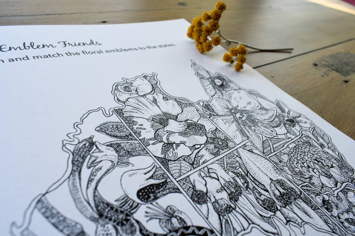 Printable Australian Flora and Fauna Colouring Book - Etsy