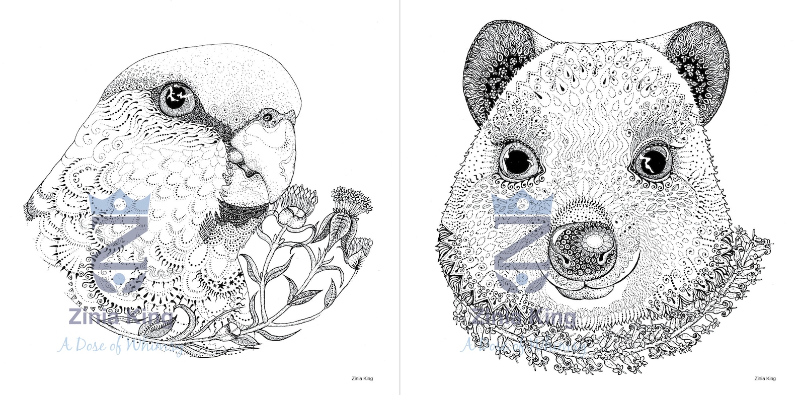 Printable Australian Animal Colouring Book - Instant Download PDF Pages ...