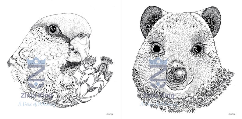 Printable Australian Animal Colouring Book Instant Download | Etsy