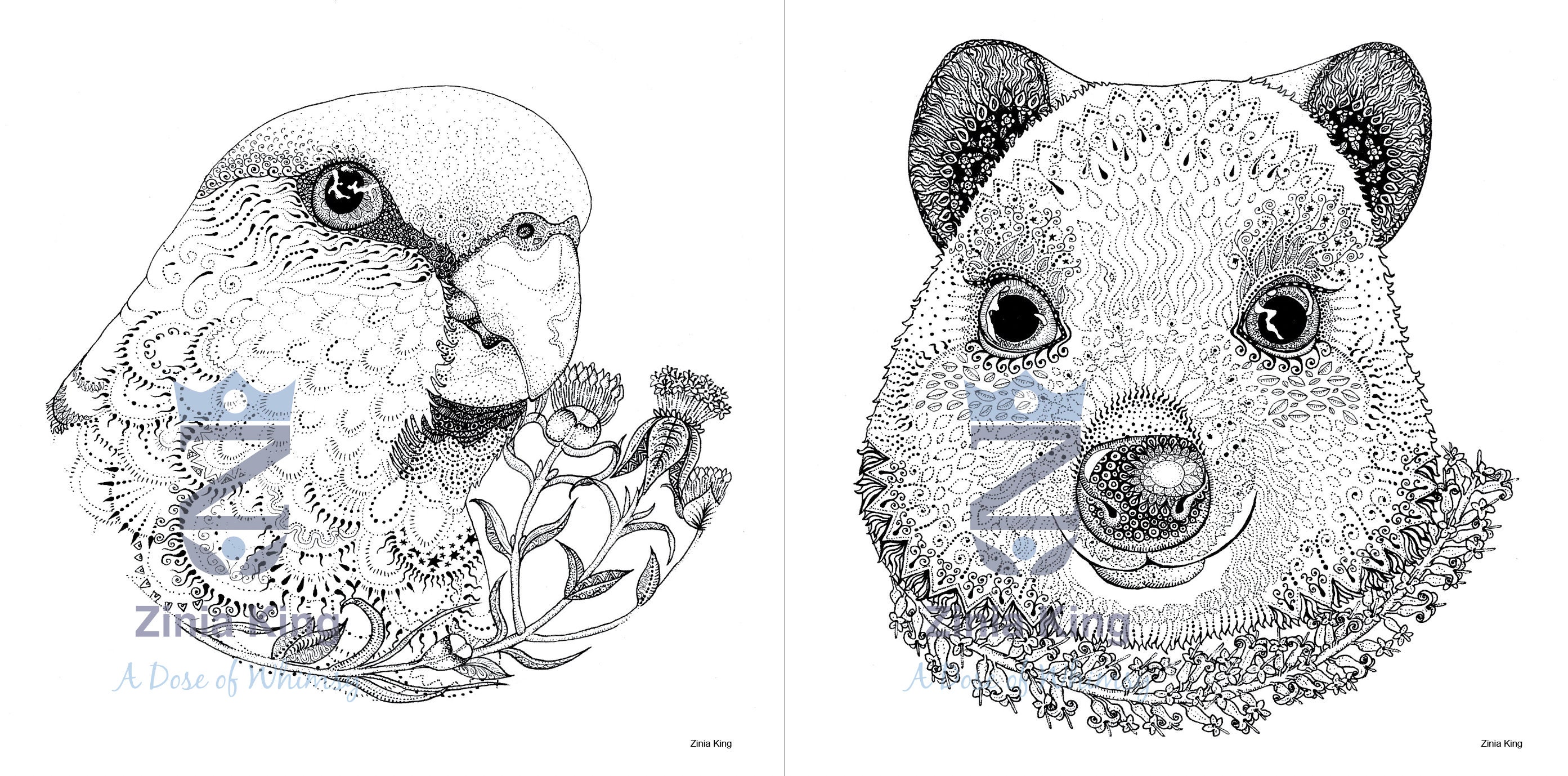 Printable Australian Animal Colouring Book Instant Download - Etsy ...