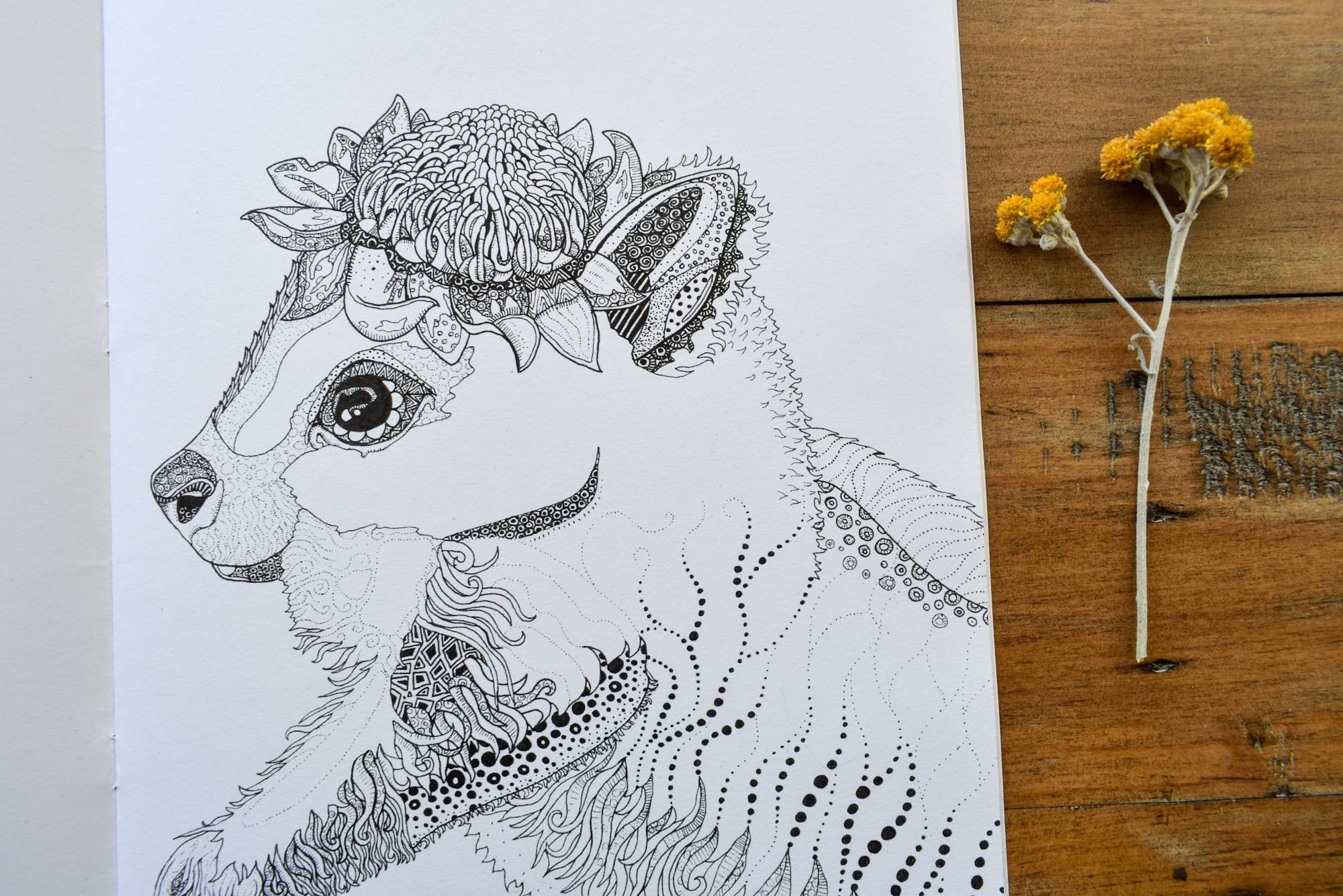Printable Australian Flora and Fauna Colouring Book - Etsy Australia