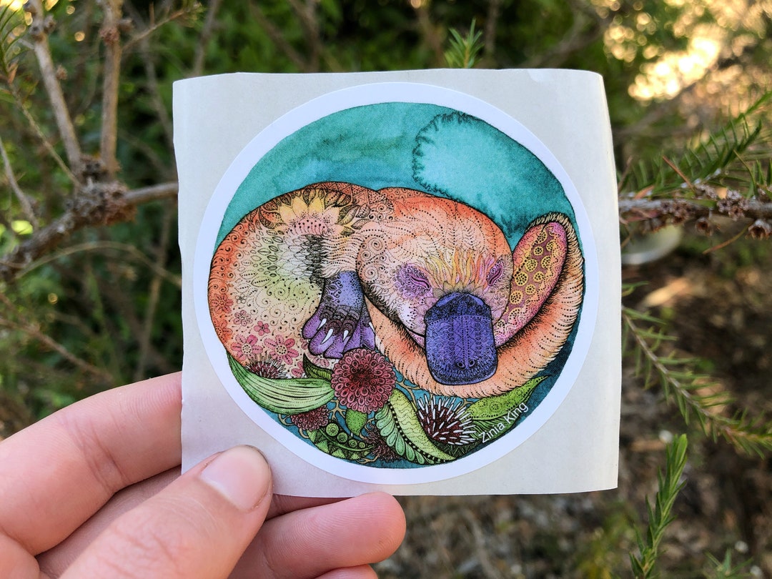 Platypus Sticker - Etsy