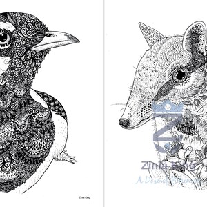 Printable Australian Animal Colouring Book - Instant Download PDF Pages ...