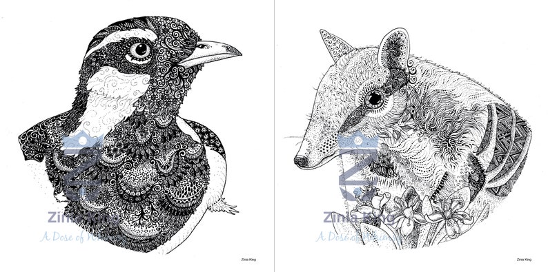 Printable Australian Animal Colouring Book Instant Download - Etsy