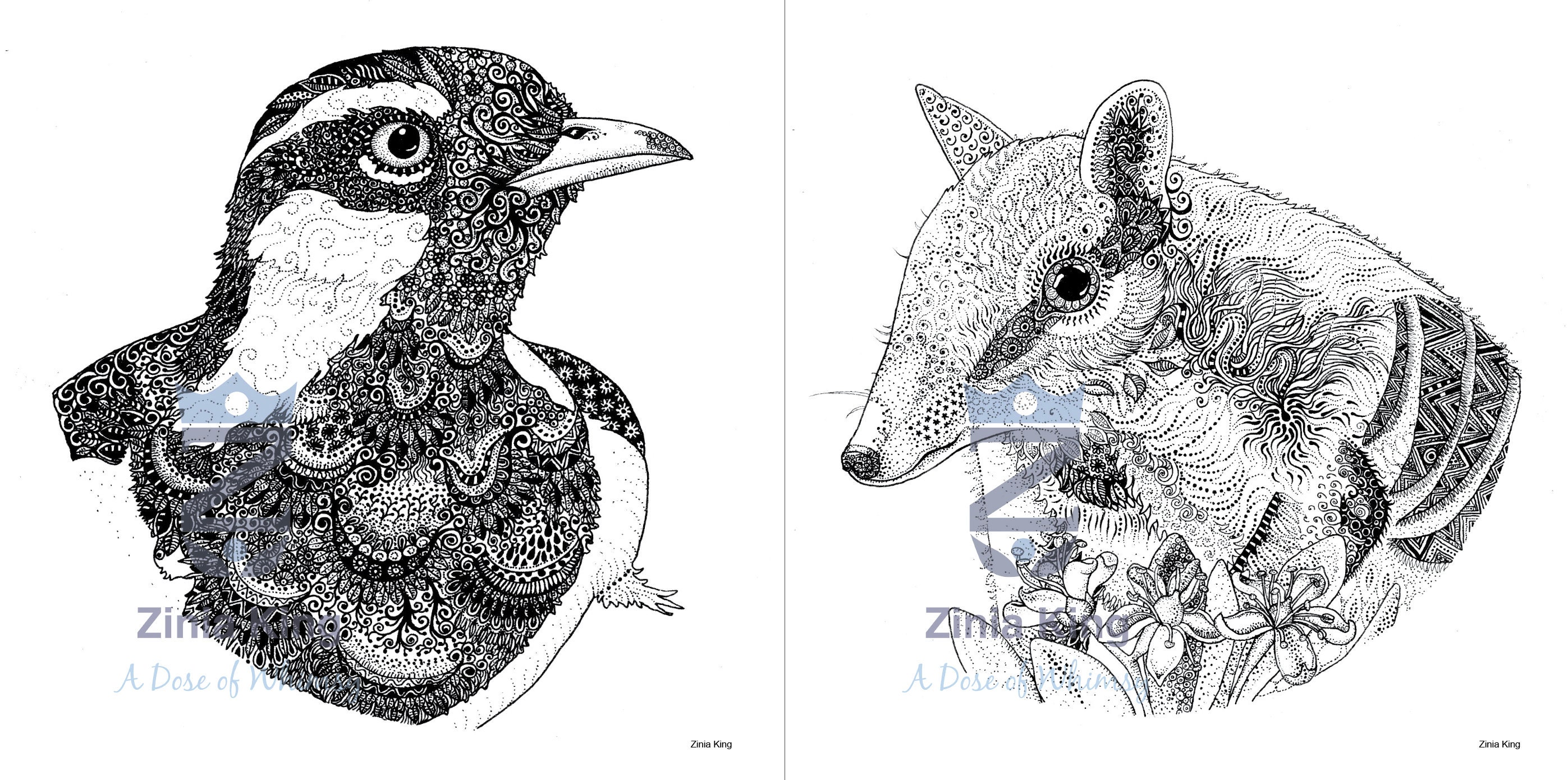 Printable Australian Animal Colouring Book - Instant Download PDF Pages ...