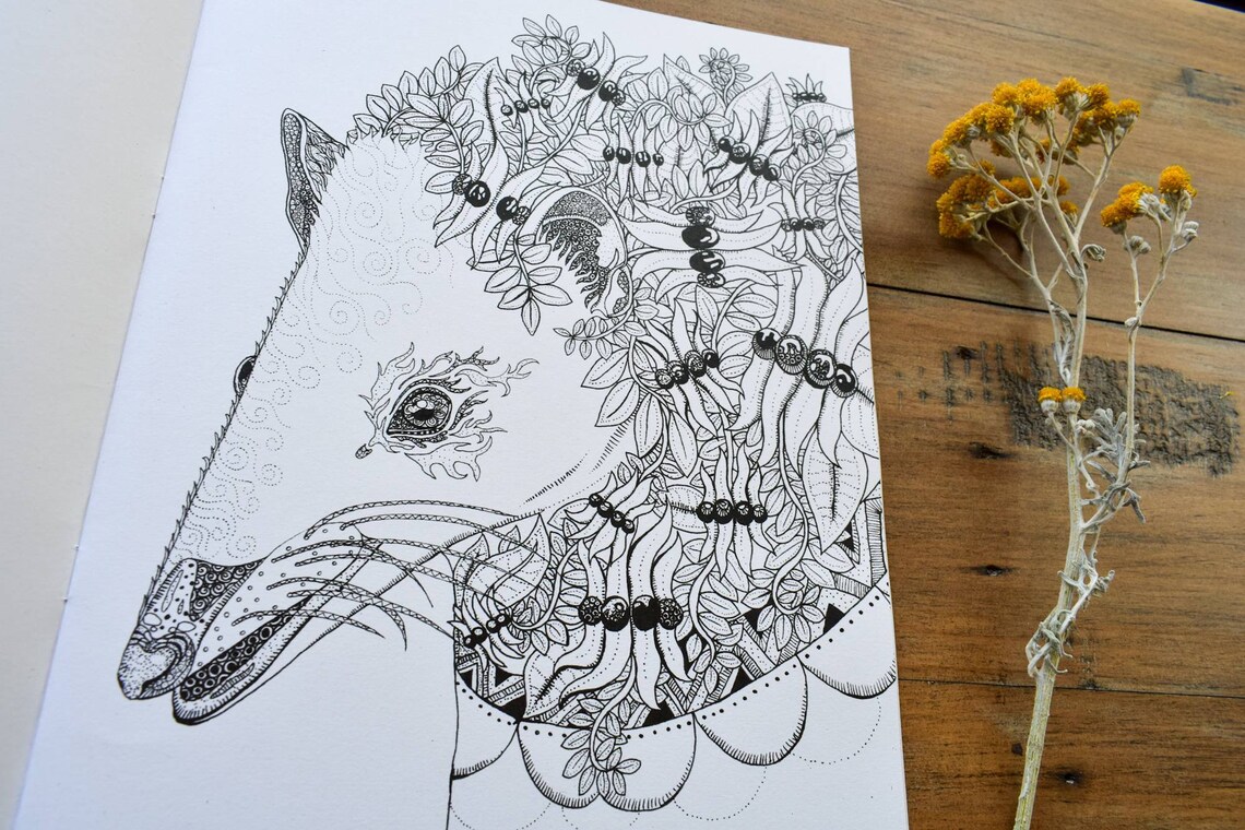 Printable Australian Flora and Fauna Colouring Book - Etsy